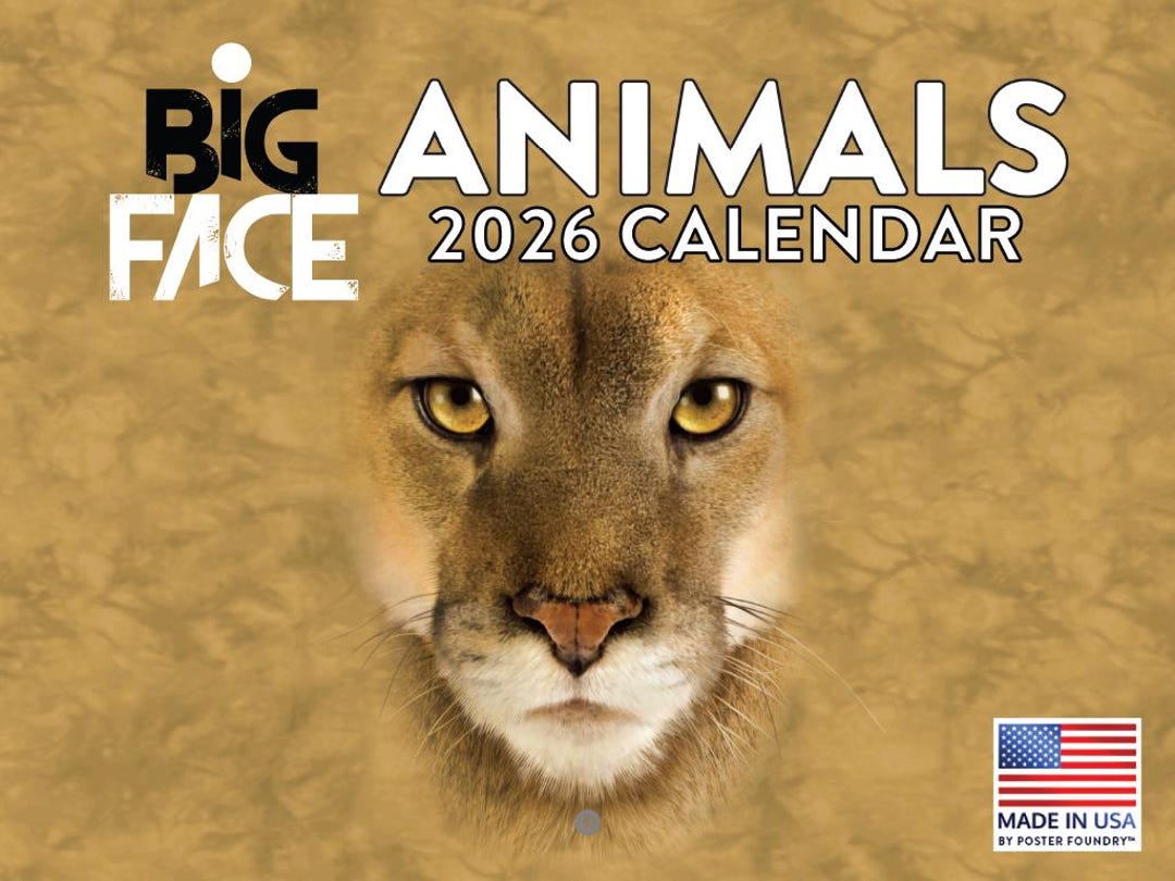 Big Face Animals 2026 Wall Calendar | Made in USA - Etsy