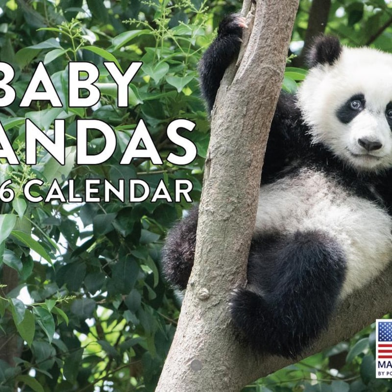 Panda Calendar 2026 - Etsy