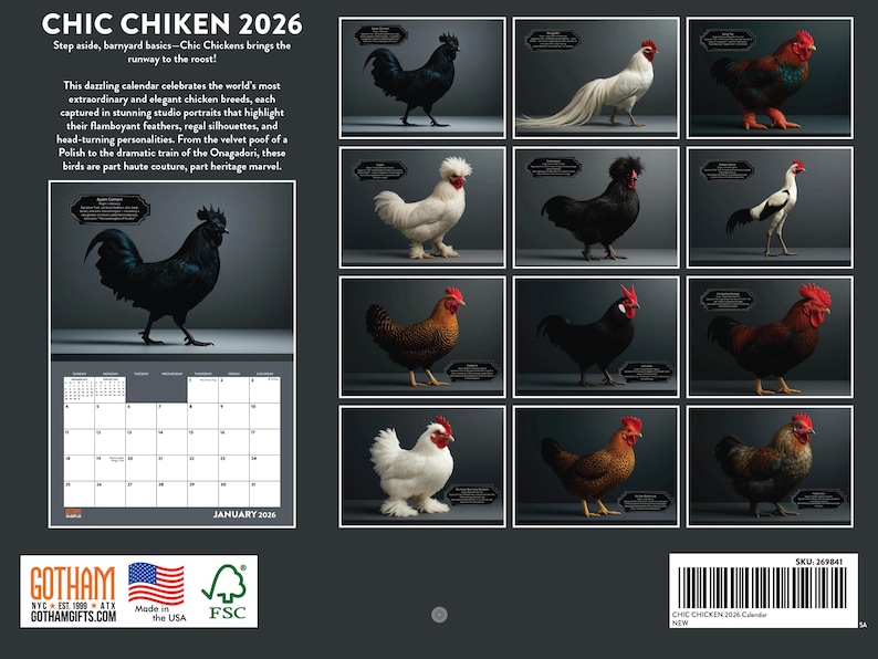 Chic Chicken Calendar 2026 Wall Monthly Beautiful Exotic Breeds ...