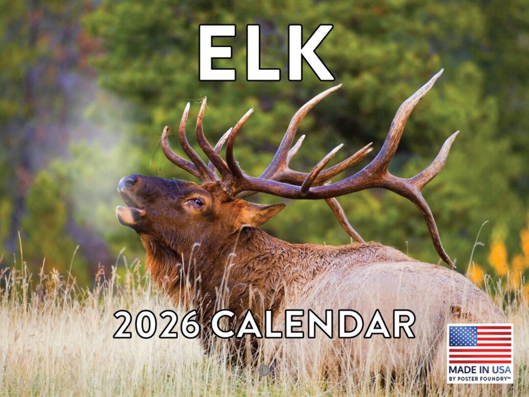 Elk Calendar 2026 Monthly Wall Calender 12 Month | American Made in the ...