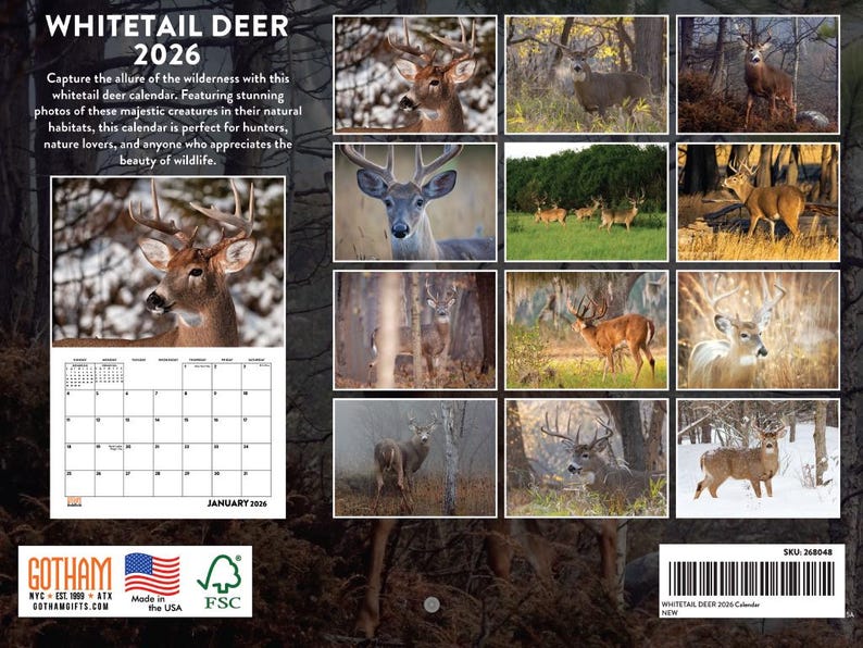 Whitetail Deer 2026 Calendar | Hunting Wall Calendar, Made in USA - Etsy