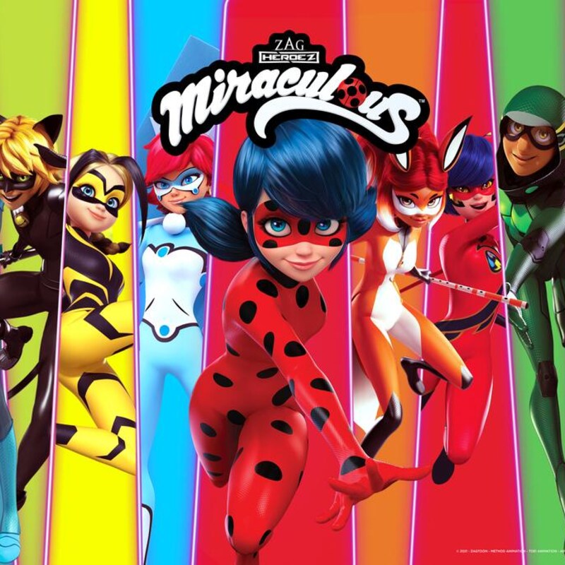 Miraculous Ladybug Miracle Box - Etsy