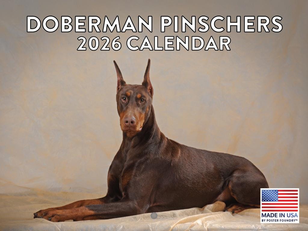 Doberman Calendar 2026 Monthly Wall Calender 12 Month | American Made ...