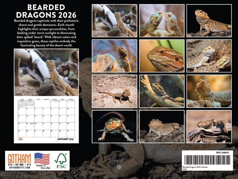 Bearded Dragon Calendar 2026 Monthly Wall Calender 12 Month | American ...