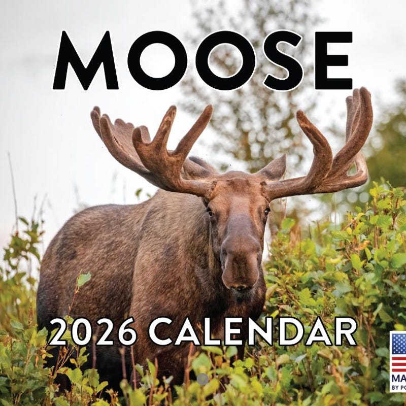Calendars Moose 2026 - Etsy