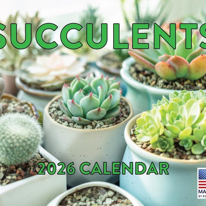 2026 Calendar Succulents - Etsy