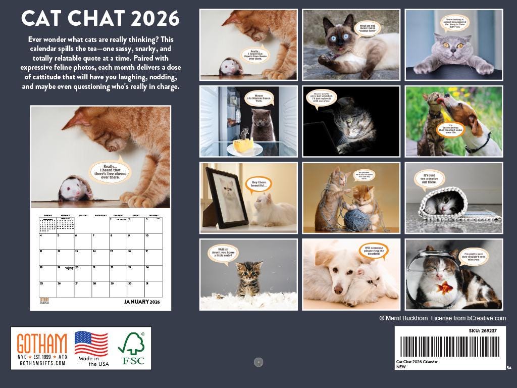 Funny Cat Calendar 2026 Monthly Wall Calender 12 Month | American Made ...