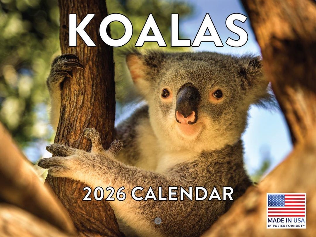 Koala Calendar 2026 Monthly Wall Calender 12 Month | American Made in ...