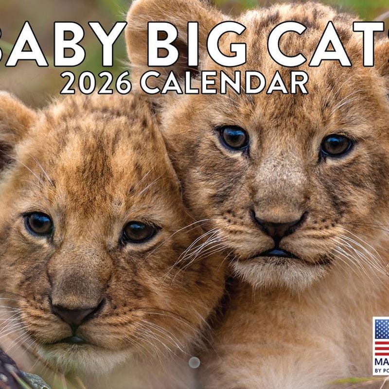 2026 Tiger Calendars - Etsy