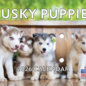 Siberian Husky Puppy Calendar 2026 Monthly Wall Calender 12 Month ...