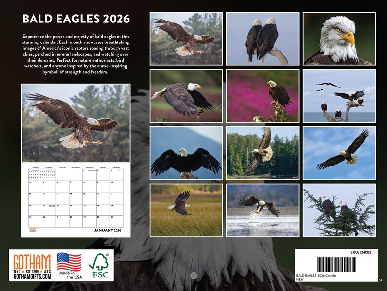 Bald Eagle Calendar 2026 Monthly Wall Calender 12 Month | American Made ...