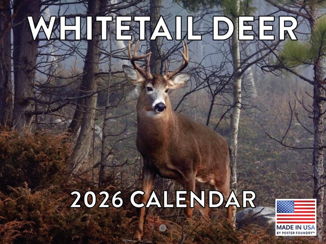 Whitetail Deer 2026 Calendar | Hunting Wall Calendar, Made in USA - Etsy