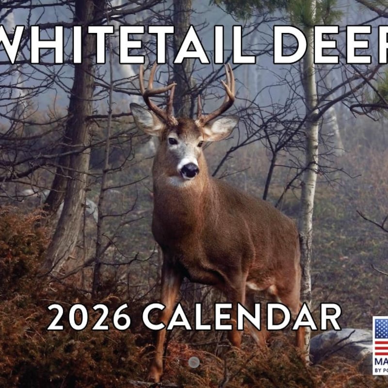 Mens Journal Calendar - Etsy