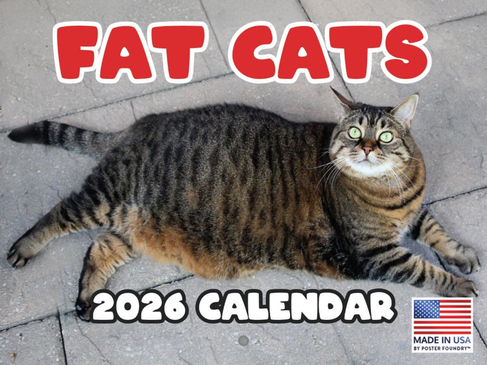 Fat Cat Calendar 2026 Monthly Wall Calender 12 Month | American Made in ...