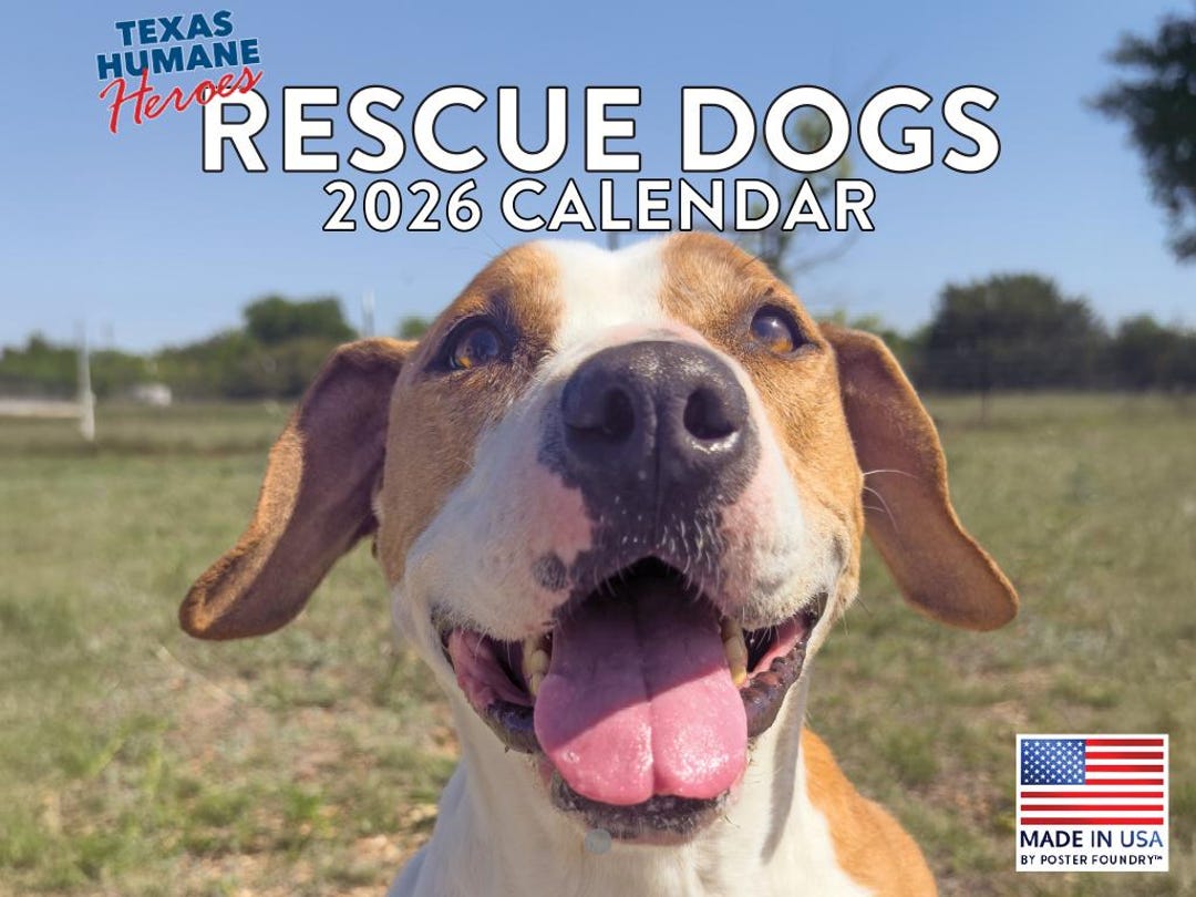 Rescue Dog Calendar 2026 Monthly Wall Calander 12 Month | American Made ...