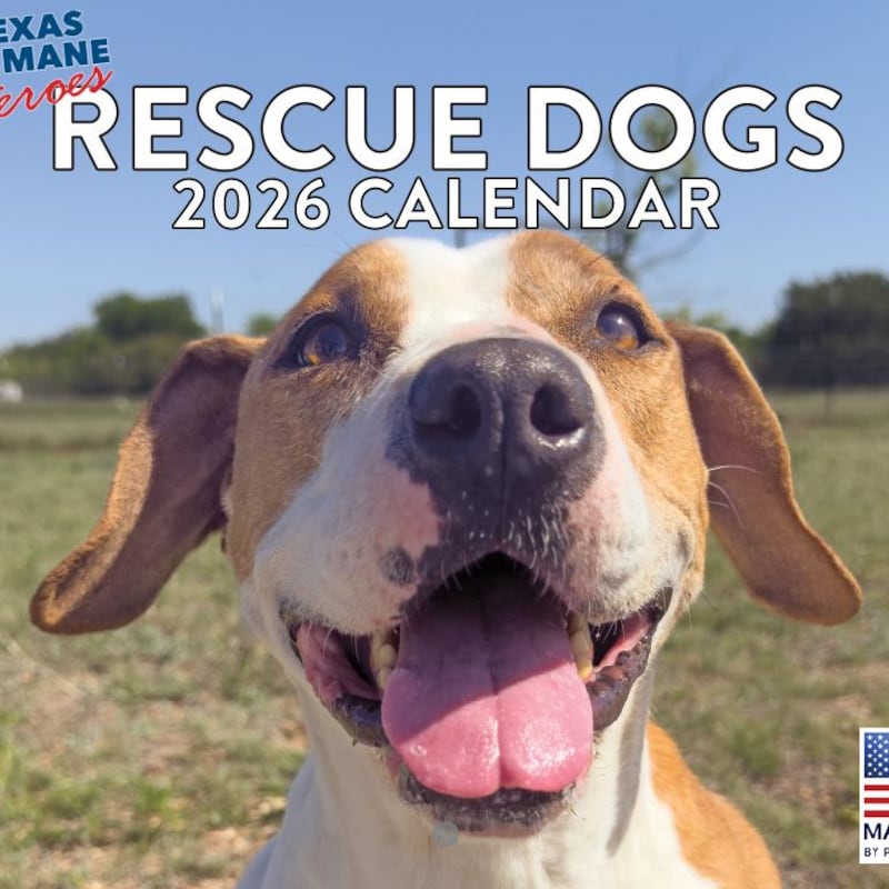 2026 Dog Calendars - Etsy