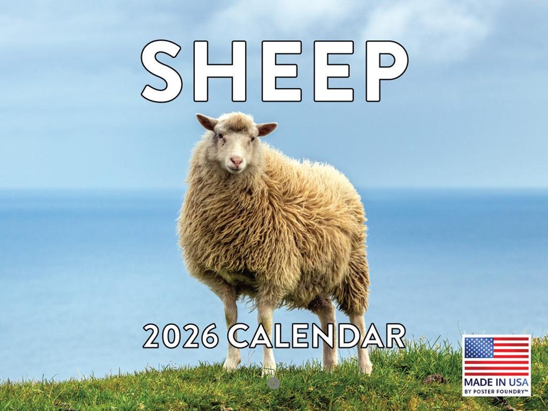 Sheep Calendar 2026 Monthly Wall Calender 12 Month | American Made in ...