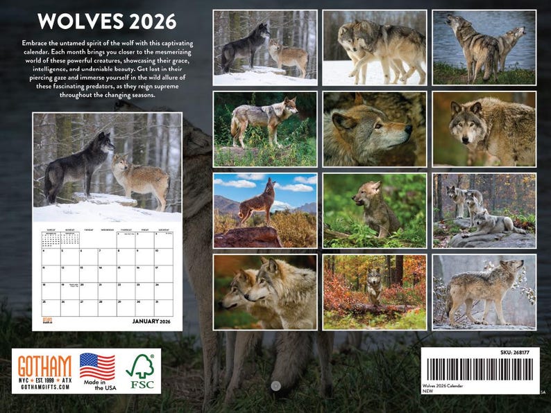 Wolf Calendar 2026 Wolves Monthly Wall Calender 12 Month | American ...