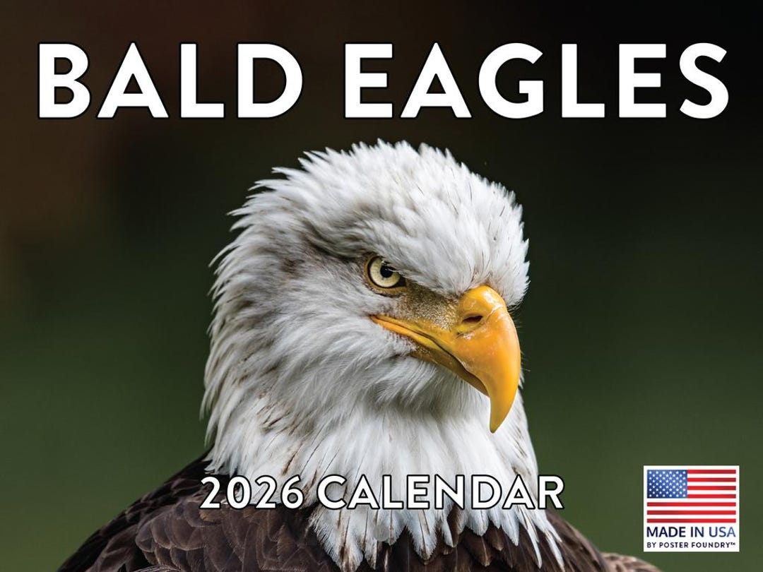 Bald Eagle Calendar 2026 Monthly Wall Calender 12 Month | American Made ...
