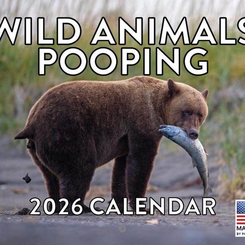 Goofy White Elephant Gift - 60+ Gift Ideas for 2025