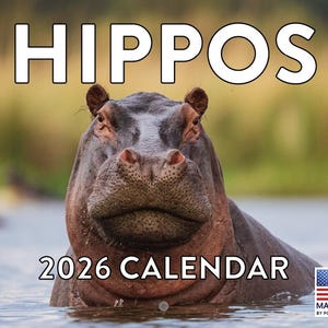 Hippo Calendar 2026 Hippopotamus Hippos Monthly Wall Calender 12 Month ...