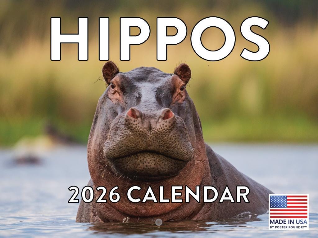 Hippo Calendar 2026 Hippopotamus Hippos Monthly Wall Calender 12 Month ...