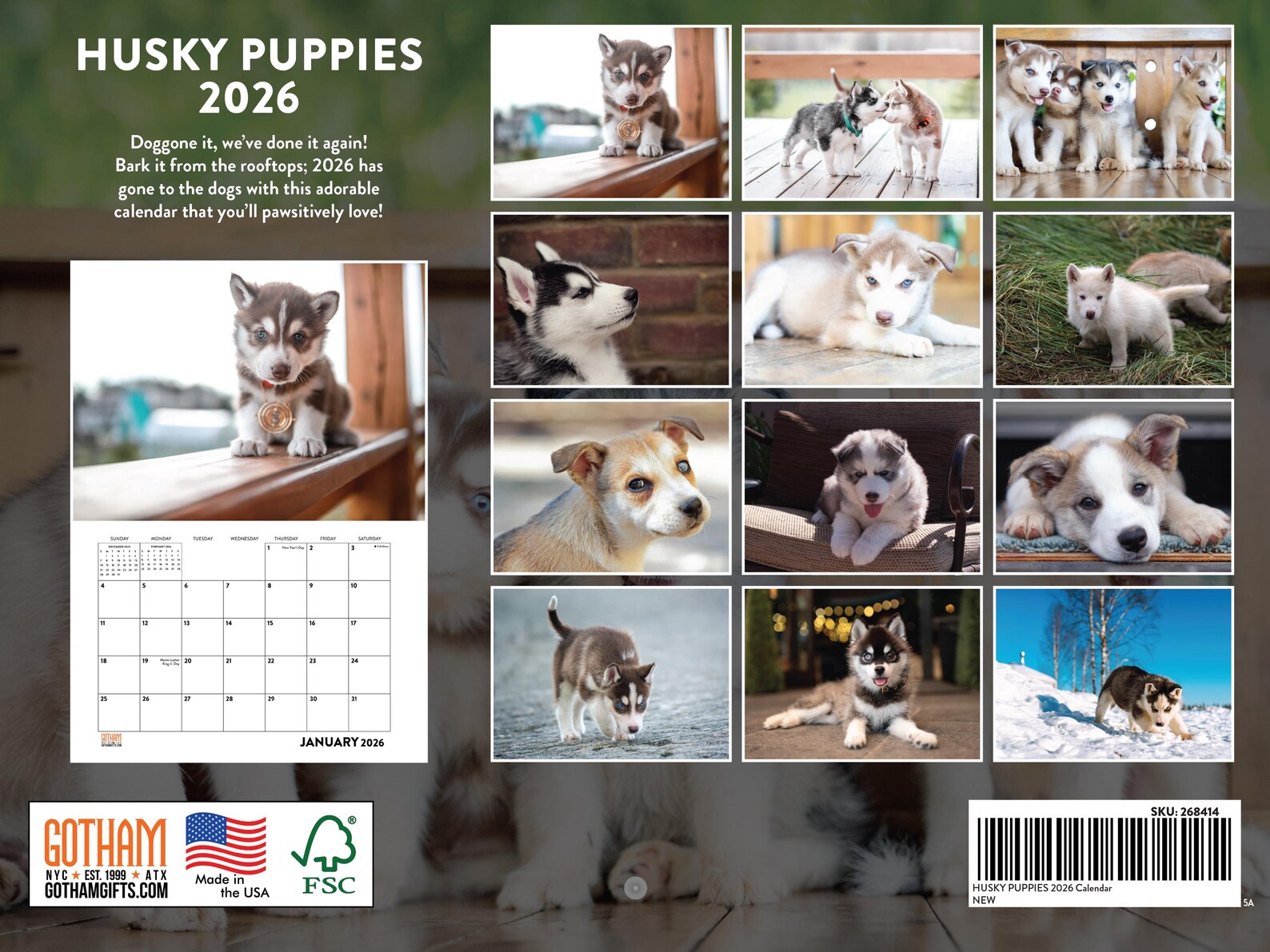 Siberian Husky Puppy Calendar 2026 Monthly Wall Calender 12 Month ...