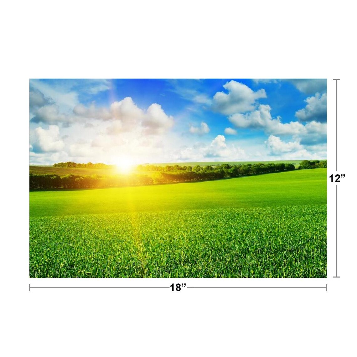 Farm Wheat Field Sunrise Bright Blue Sky Landscape Photo Cool Wall Art ...