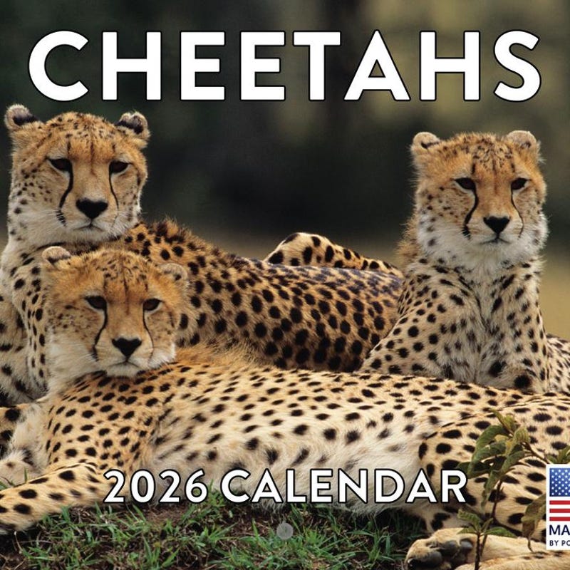 Cheetah Planner 2026 - Etsy