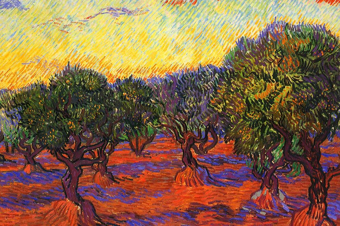 Vincent Van Gogh Olive Grove With Orange Sky Art Print Poster 24x36 ...