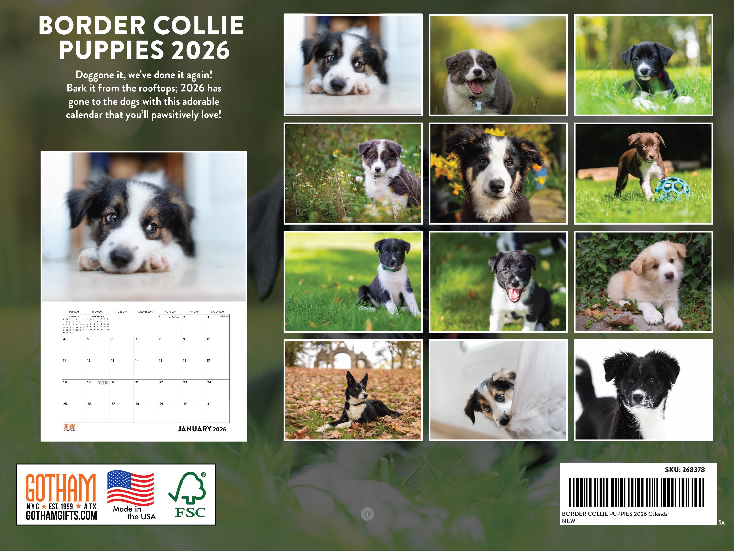 Border Collie Puppy Calendar 2026 Monthly Wall Calender 12 Month ...