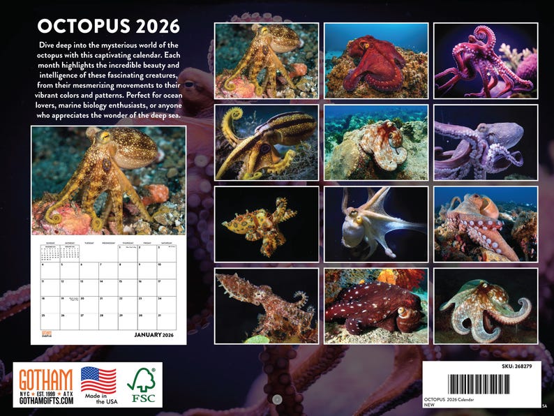 Octopus Calendar 2026 Monthly Wall Calender 12 Month | American Made in ...