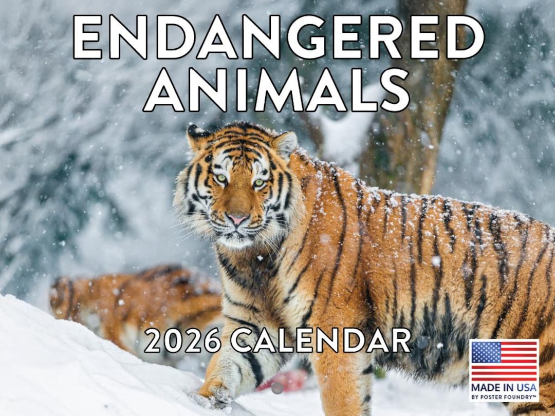 Endangered Animals Calendar 2026 Wildlife Monthly Wall Calender 12 ...