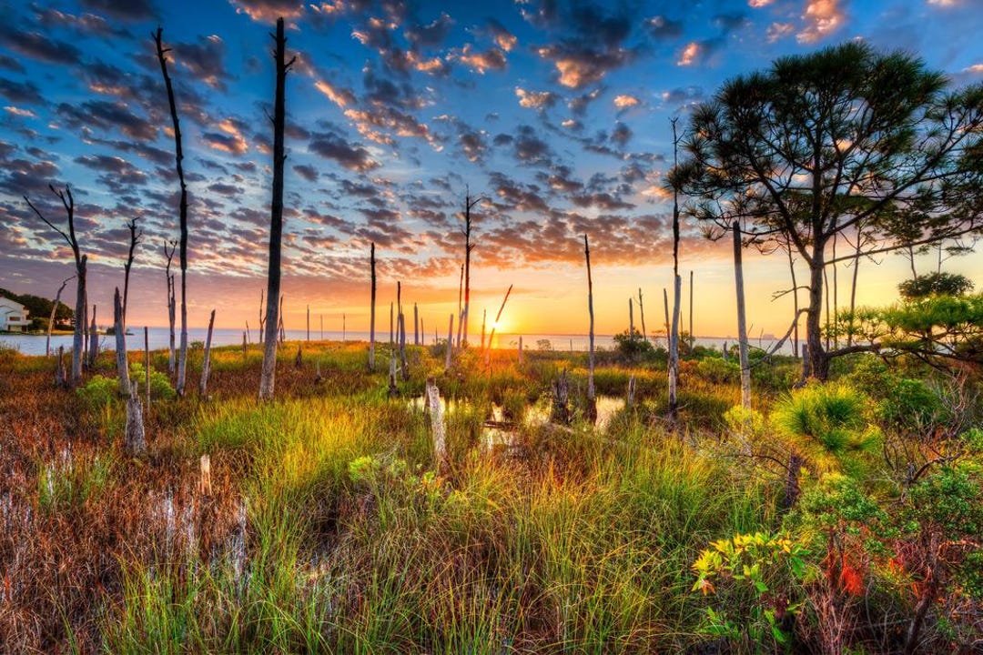 Shalimar Florida Sunrise Photo Art Print Poster (18x12) - Etsy