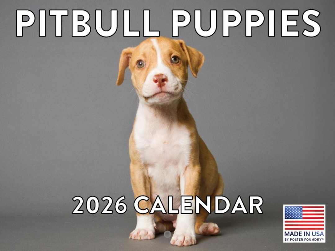 Pitbull Puppy Calendar 2026 Pit Bull Monthly Wall Calender 12 Month ...