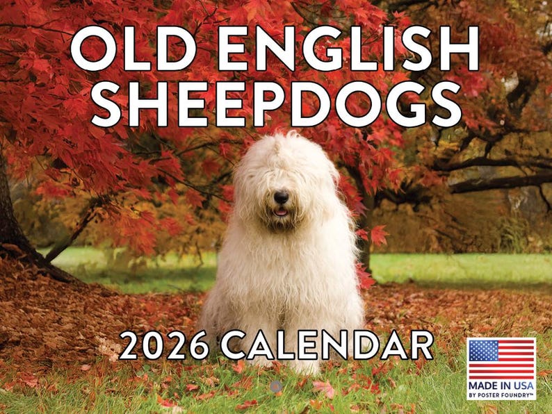 Old English Sheepdog Calendar 2026 Monthly Wall Calender 12 Month ...