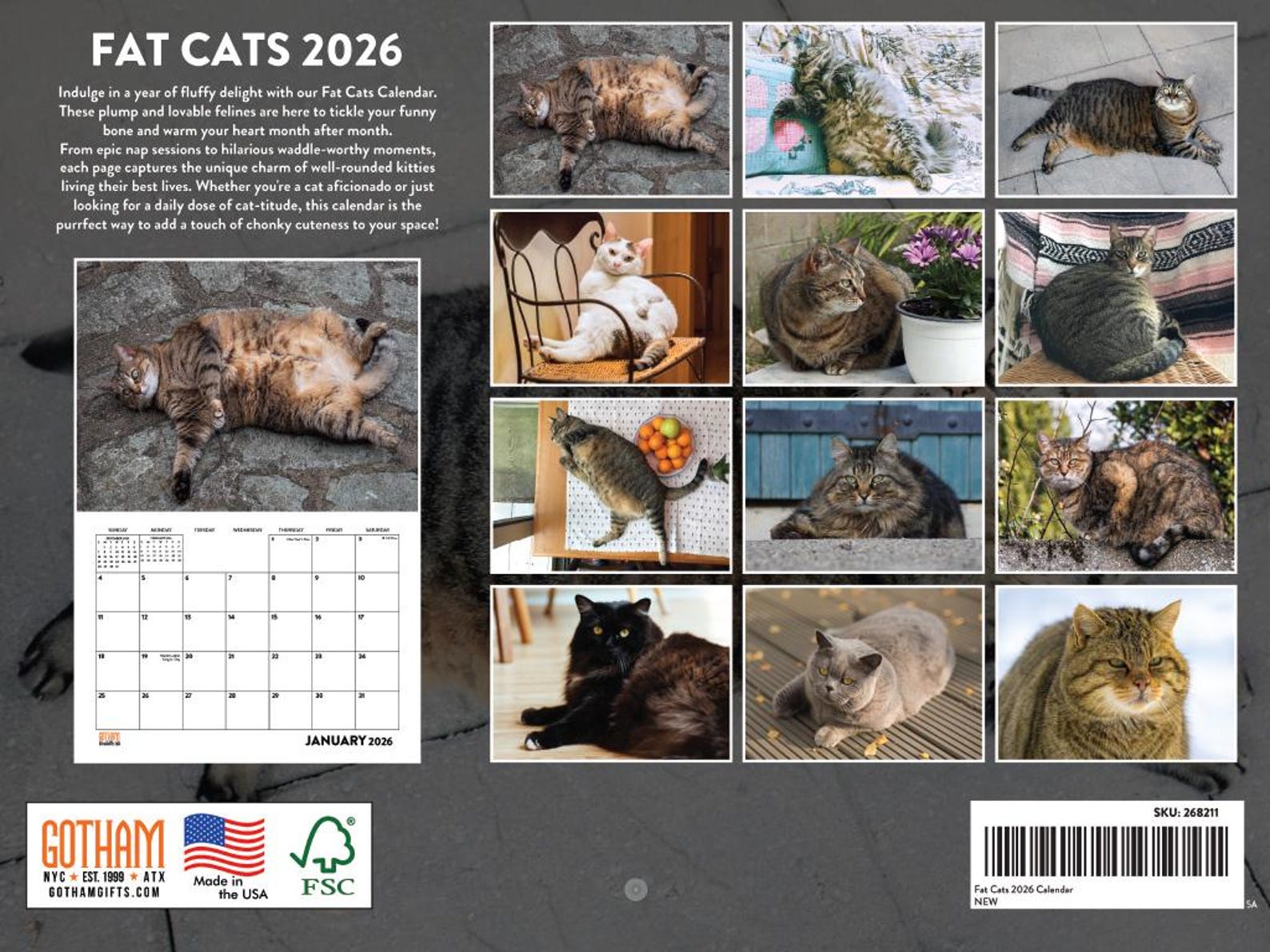 Fat Cat Calendar 2026 Monthly Wall Calender 12 Month | American Made in ...