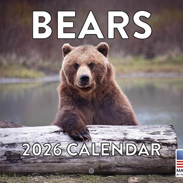 Bear Calendar - Etsy