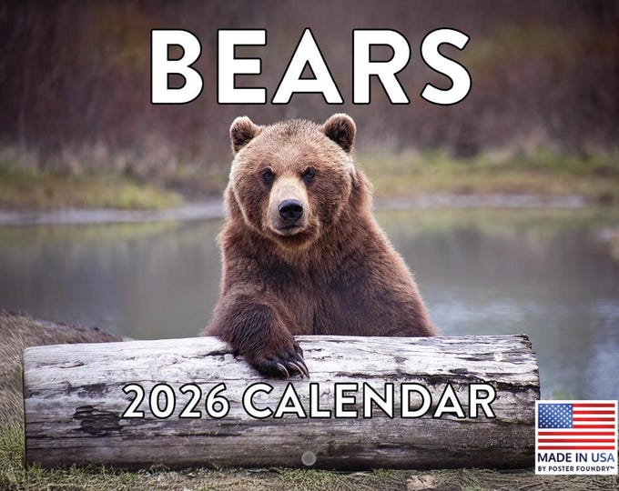 2026 Bear Wall Calendar - Etsy