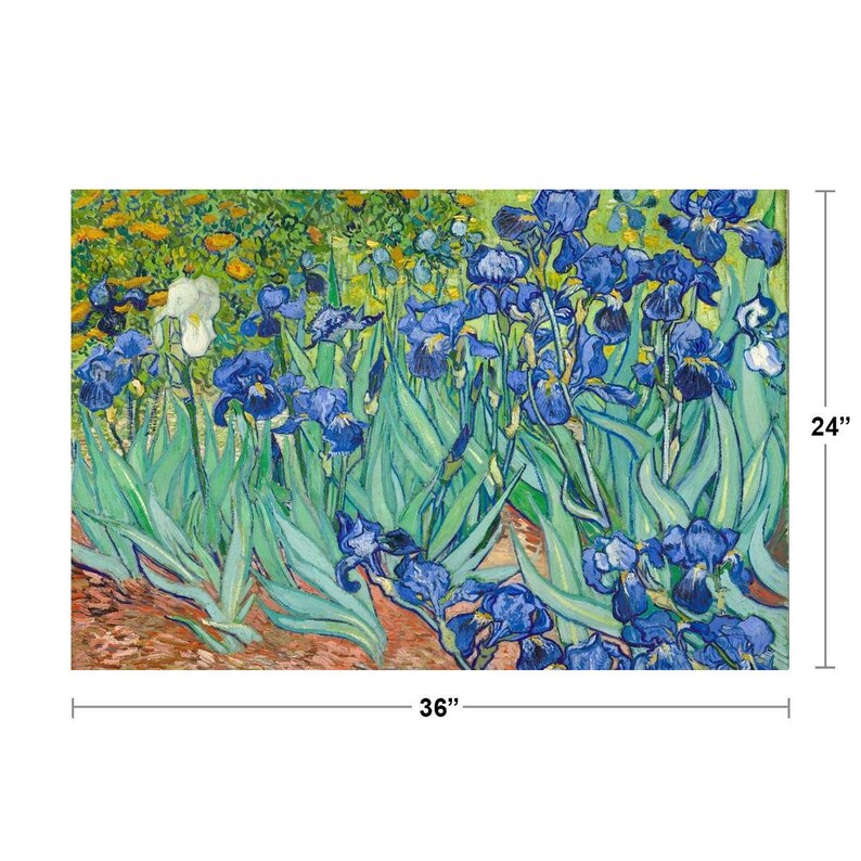 Vincent Van Gogh Irises Flower Poster 1890 Dutch Post Impressionist ...