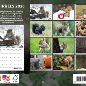 Squirrel Calendar 2026 Monthly Wall Calender 12 Month | American Made ...