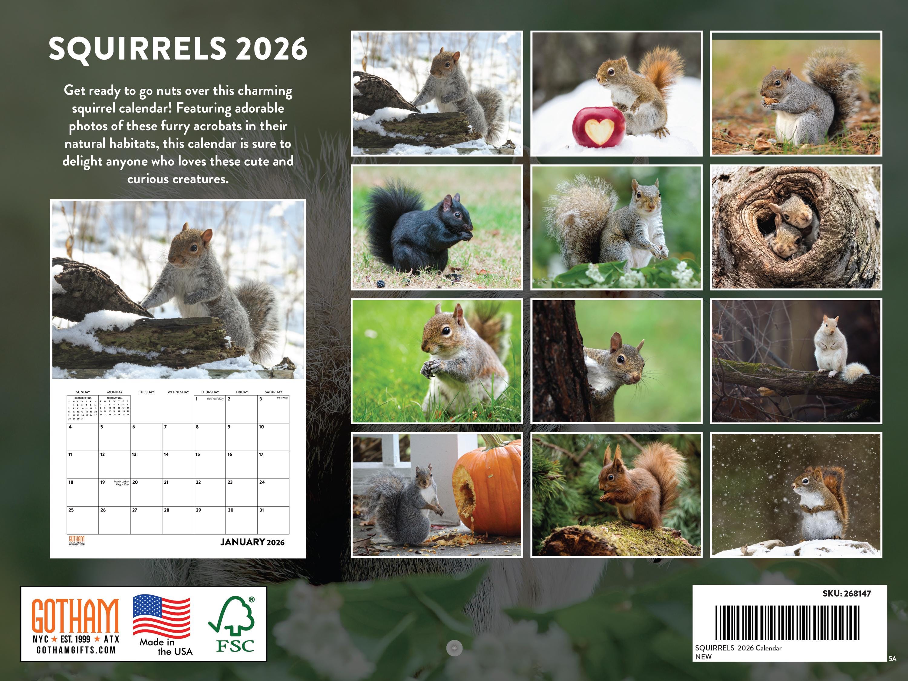Squirrel Calendar 2026 Monthly Wall Calender 12 Month | American Made ...