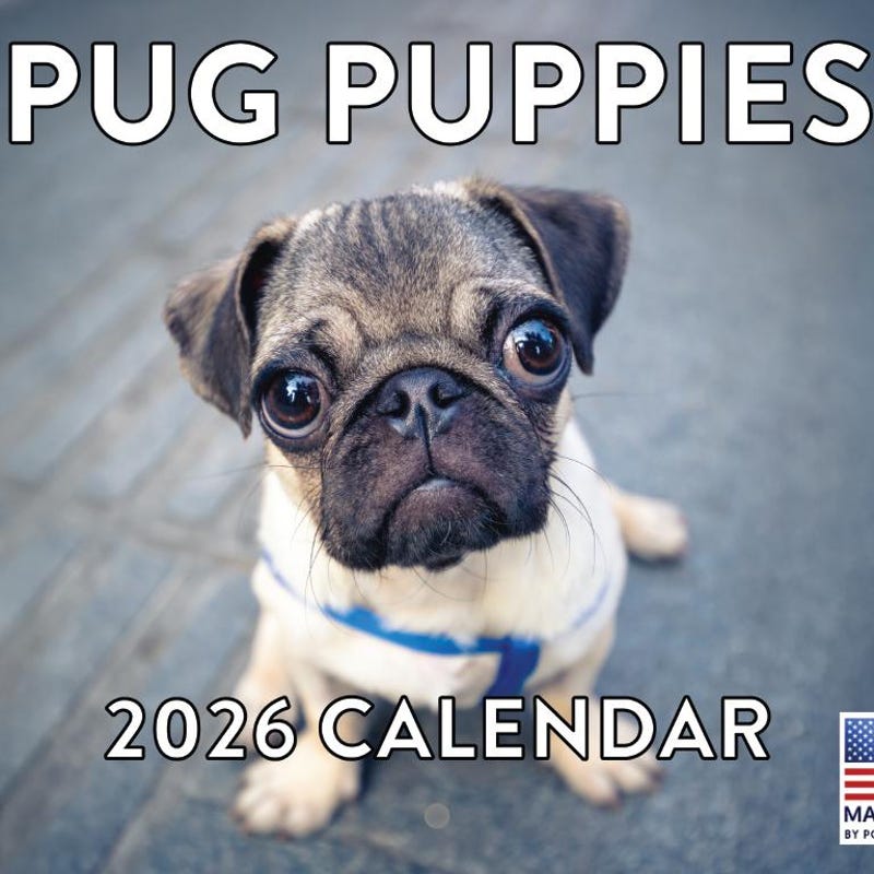 Pug Calendars 2026 - Etsy
