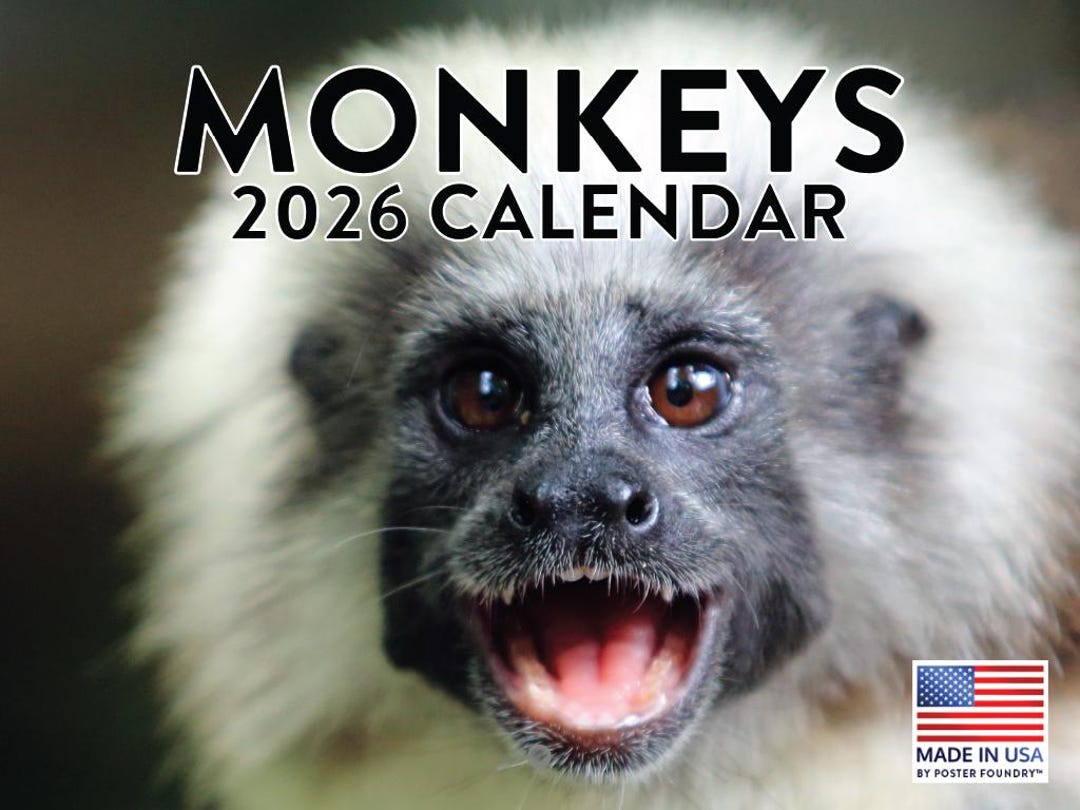 Monkey Calendar 2026 Monthly Wall Calender 12 Month | American Made in ...