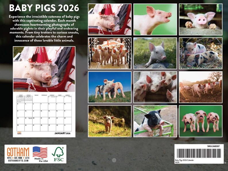 Baby Pig Calendar 2026 Piglet Monthly Wall Calender 12 Month | American ...