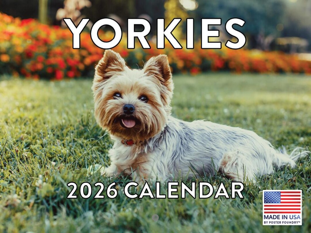 Yorkie Calendar 2026 Yorkshire Terrier Monthly Wall Calender 12 Month ...