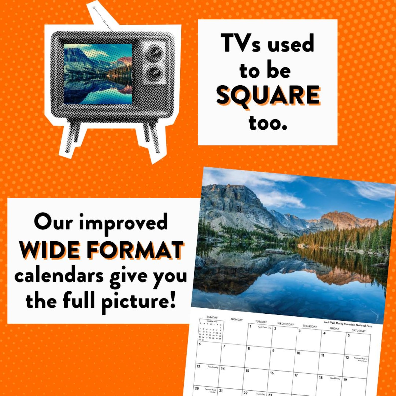 Orca Calendar 2026 Killer Whale Monthly Wall Calender 12 Month ...