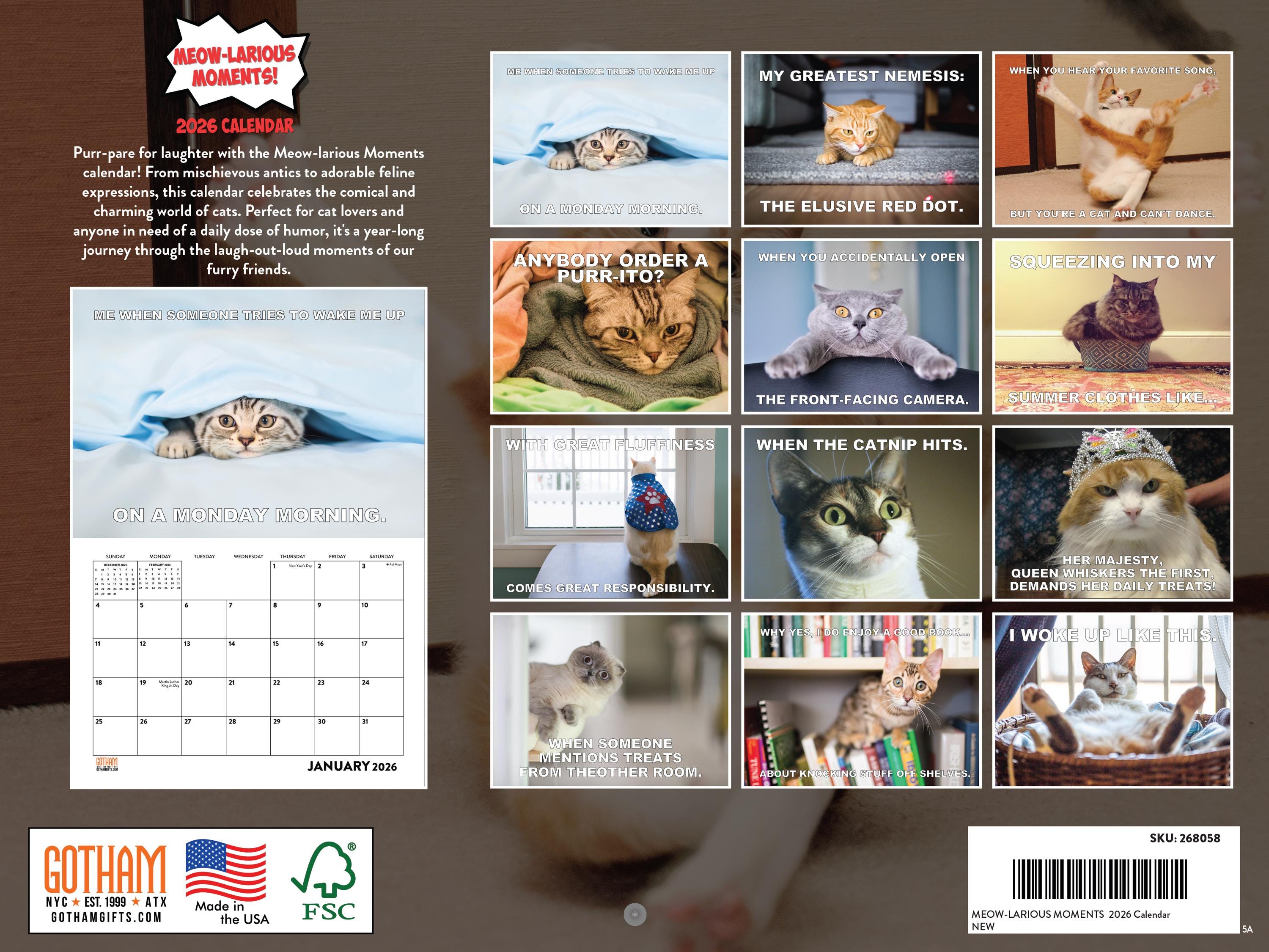 Funny Cat Calendar 2026 Cats Monthly Wall Calender 12 Month | American ...