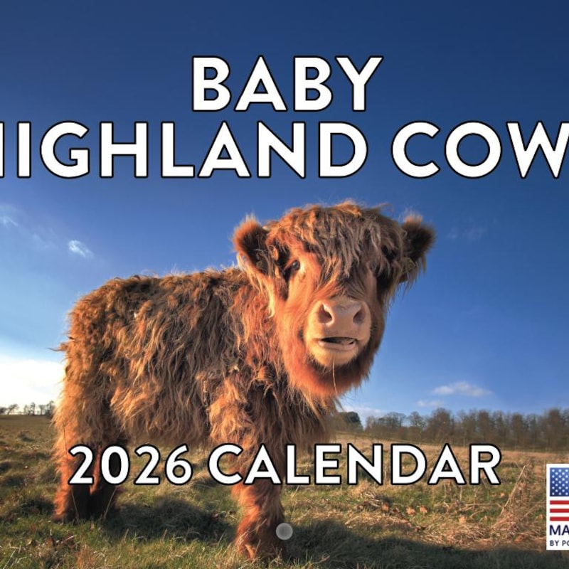 Cow 2026 Calendar - Etsy