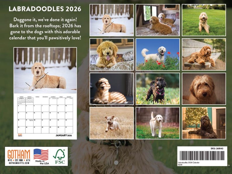 Labradoodle Calendar 2026 Monthly Wall Calender 12 Month | American ...